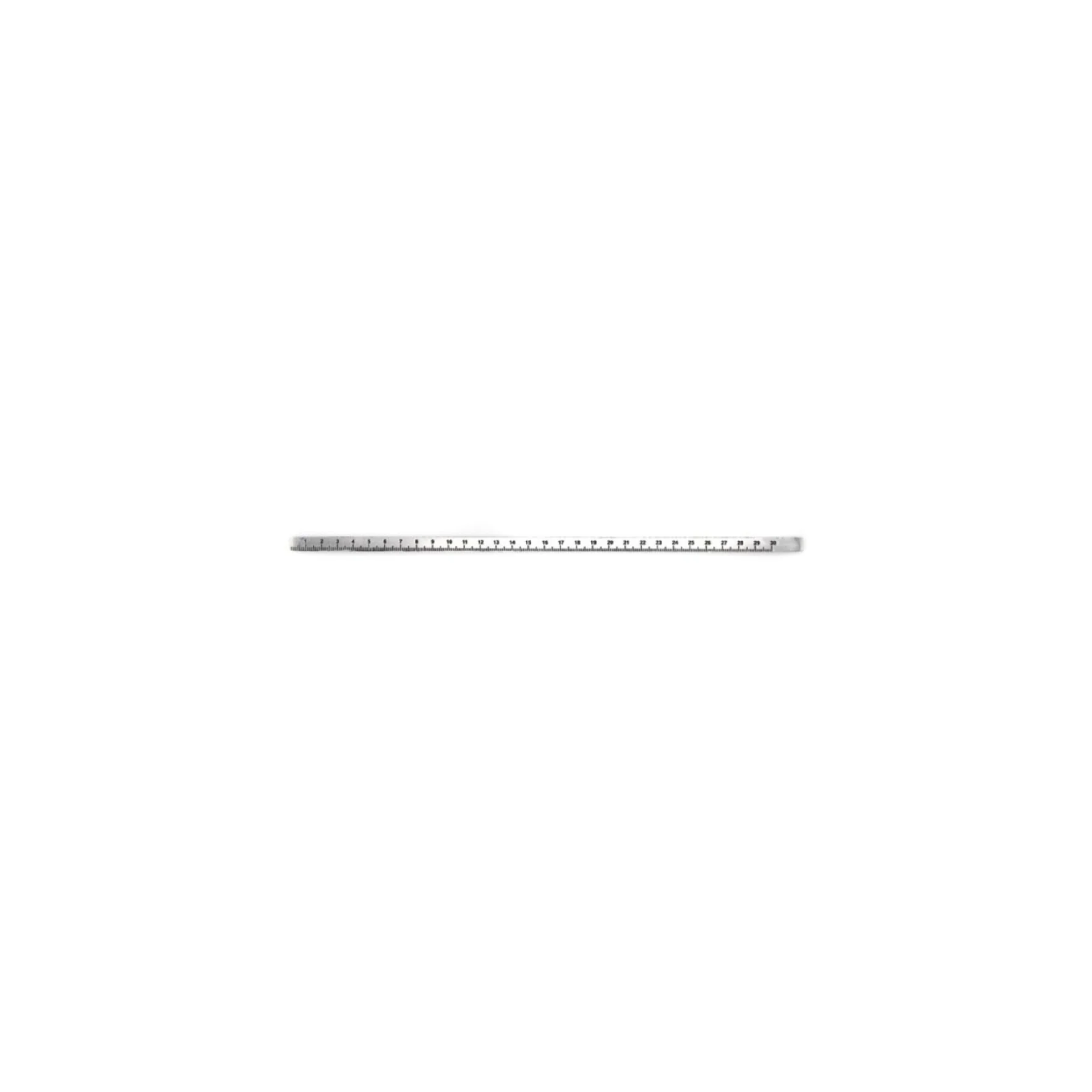 Measuring Rod 30cm | Brut FATHOM – Fathom Store